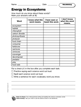 Energy In Ecosystems Worksheets